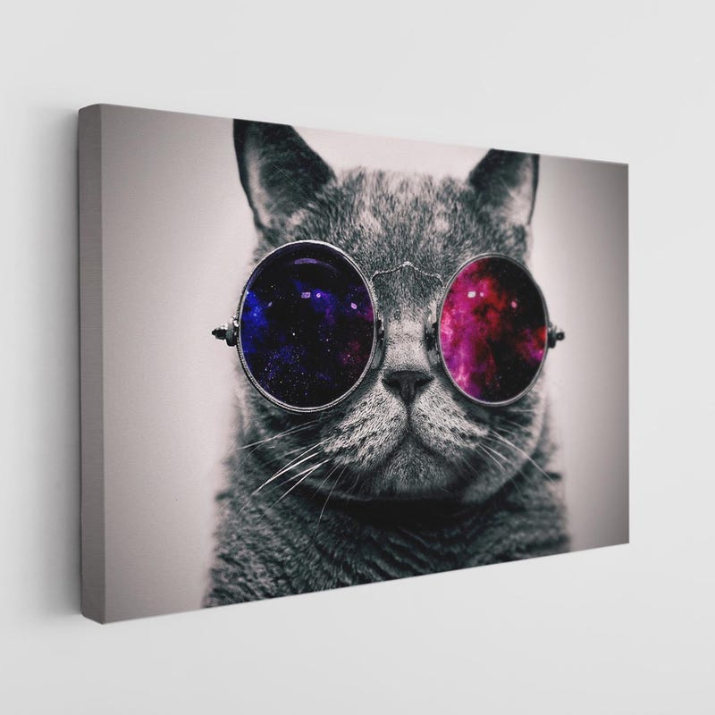 Cat W Sunglasses - Etsy