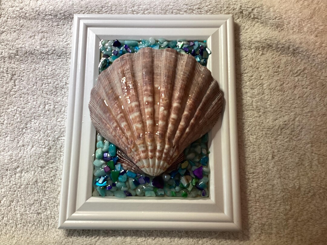 Large Sea Shell Mounted on 5x7 Frame With Resin - Etsy