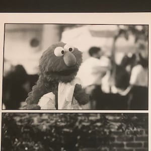 Adventures of Elmo in Grouchland - Disney Original Movie Press Photo ...