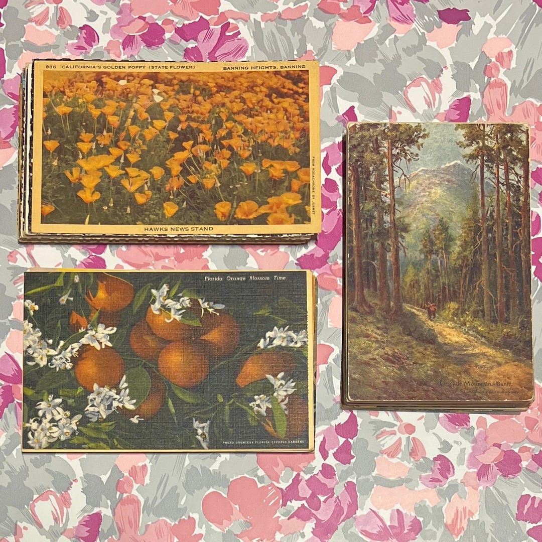 Flowers! Trees! Fruit! Vintage Postcards of NATURE! Lovely Flowers ...