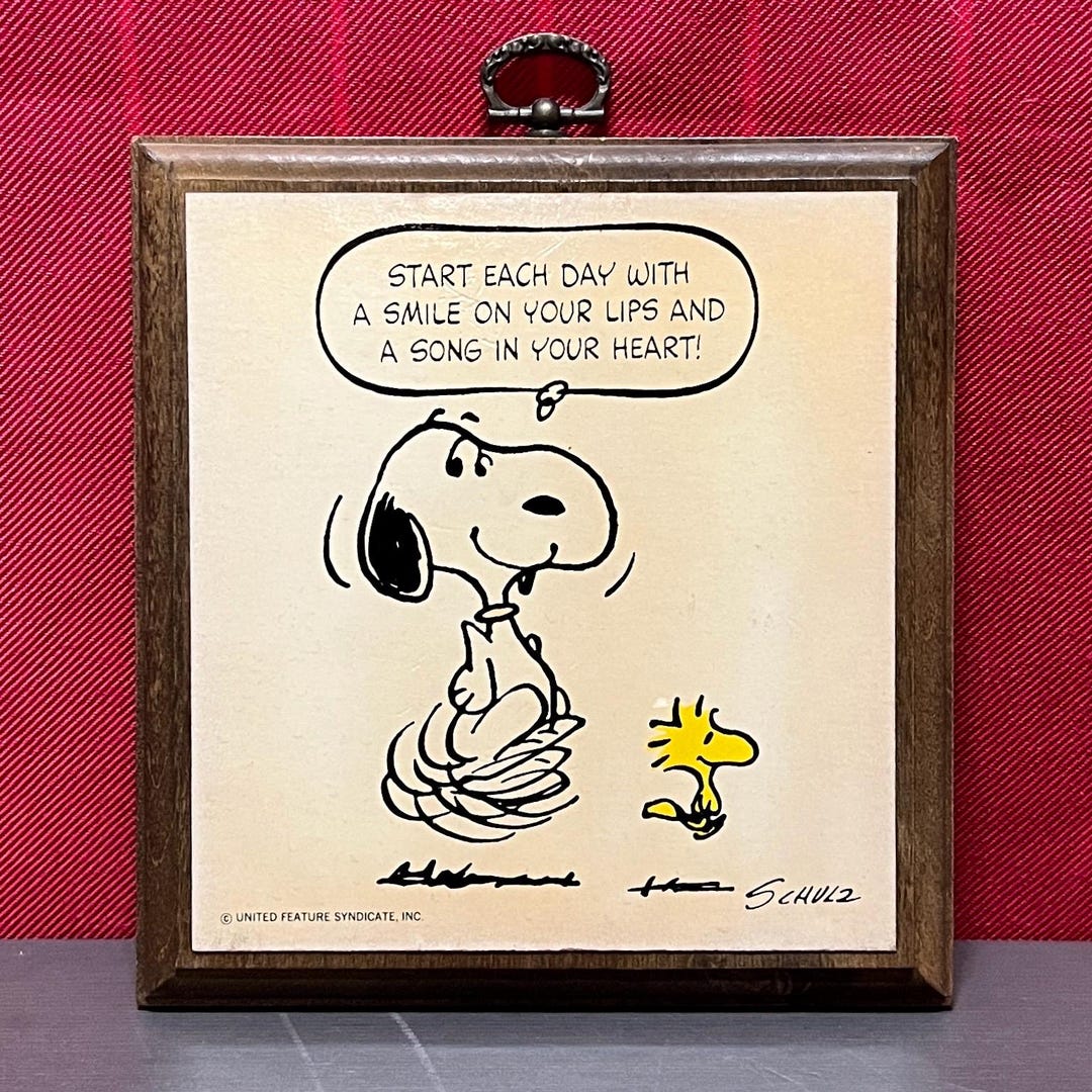 Vintage Snoopy and Woodstock Wood Hanging Seventies Springbok Wall ...