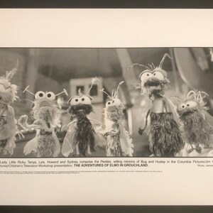 Adventures of Elmo in Grouchland - Disney Original Movie Press Photo ...