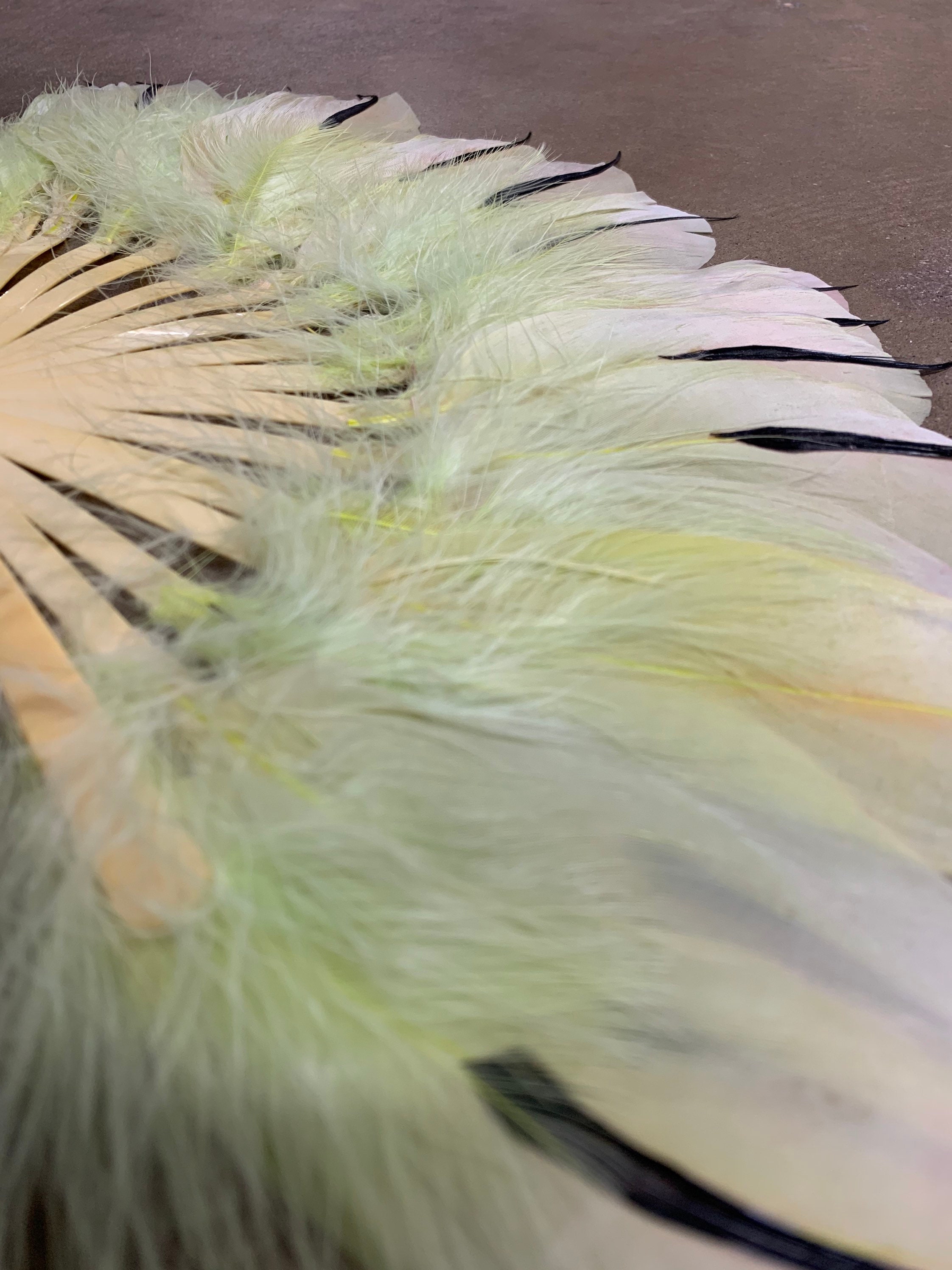 Two Vintage Celluloid Fancy Pants Fans - Etsy