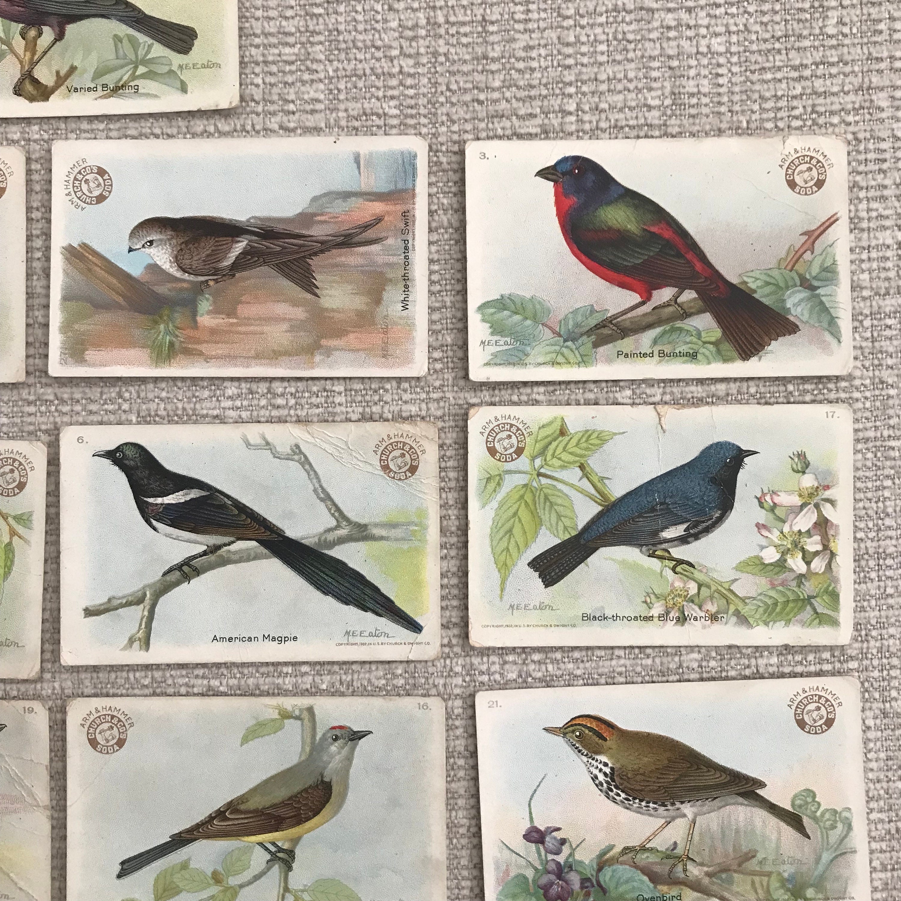 28 Vintage Bird Trading Cards 3rd Series Arm & Hammer Church - Etsy