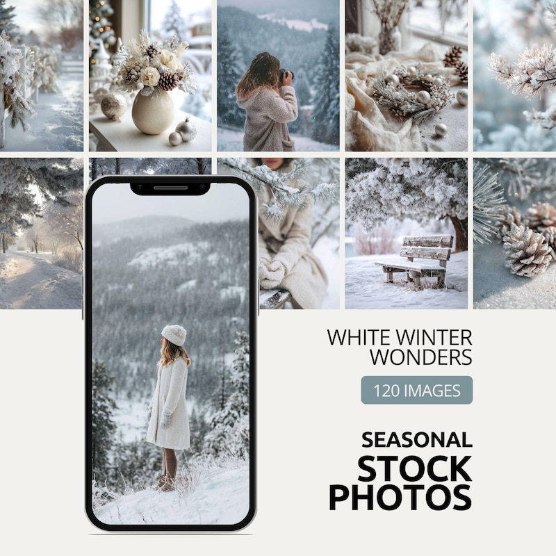 Ai Winter Bundle - Etsy