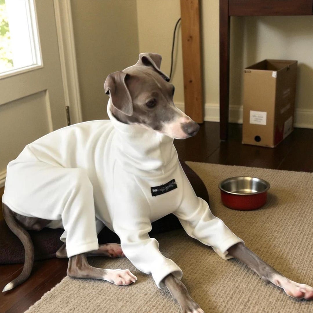 Pet Costume – Luxury Cotton Dog Jammies for Whippet & Italian Greyhound ...