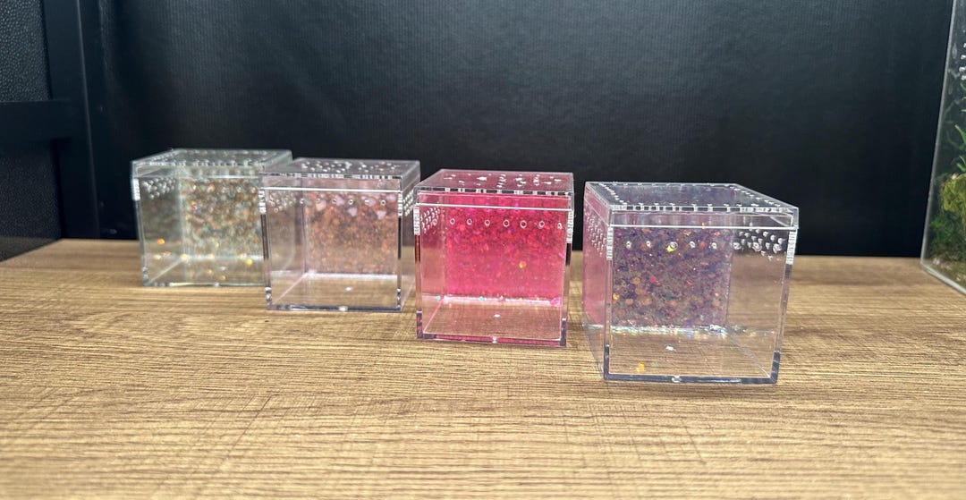Glittery Spiderling Enclosure 2" Cube - Etsy