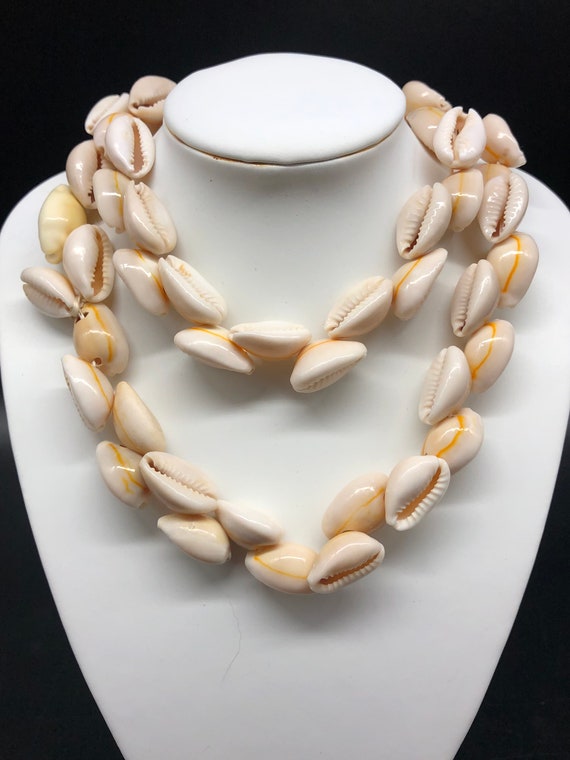 Vintage Genuine Cowrie Shell Gem