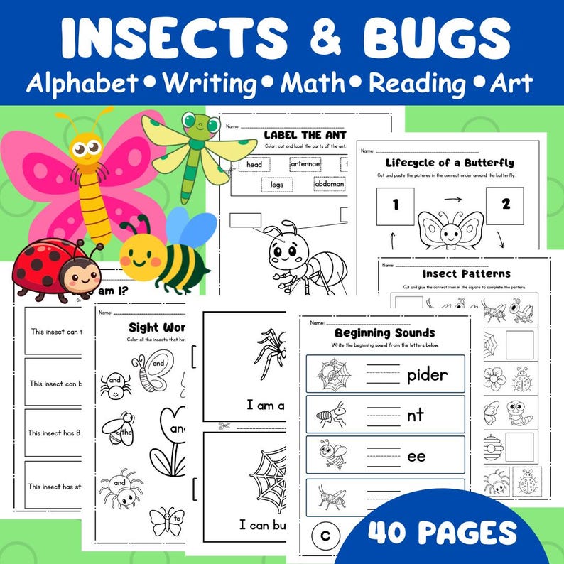Insects and Bugs Activity Worksheet Packet: Preschool & Kindergarten ...