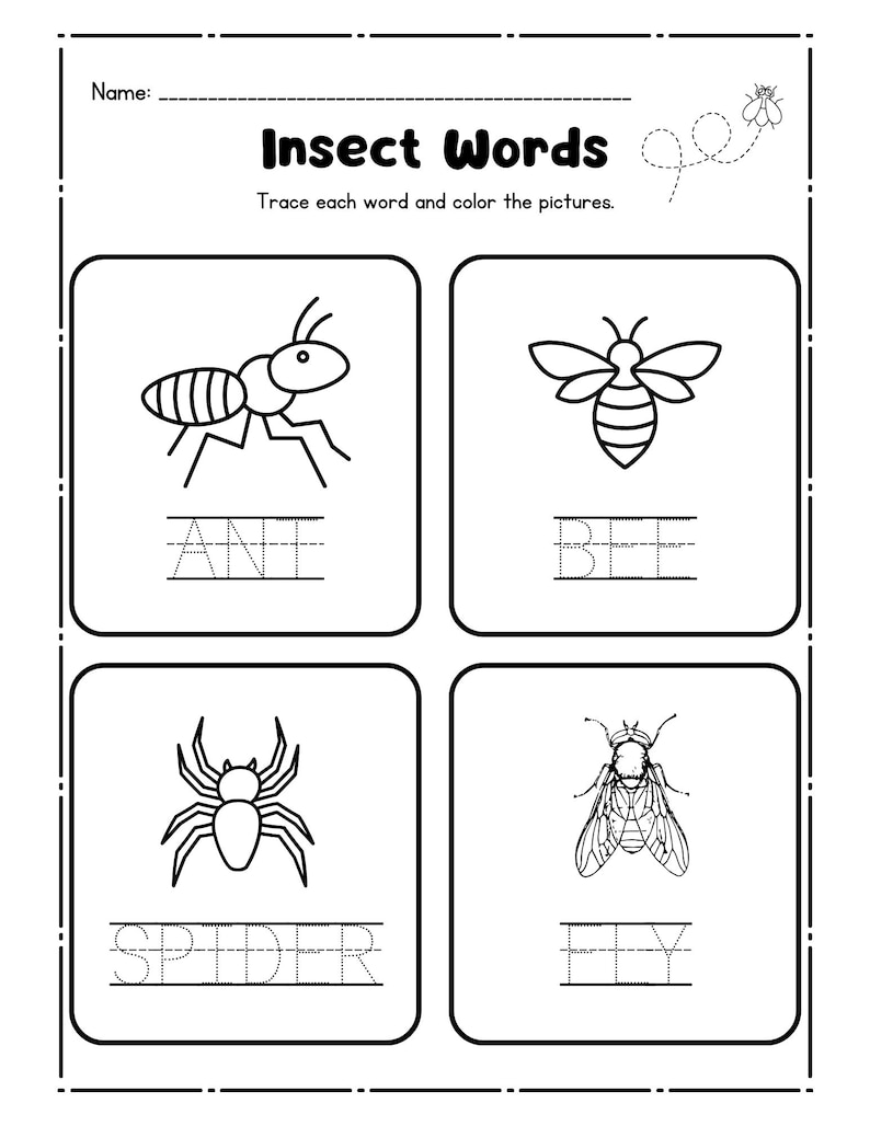 Insects and Bugs Activity Worksheet Packet: Preschool & Kindergarten ...