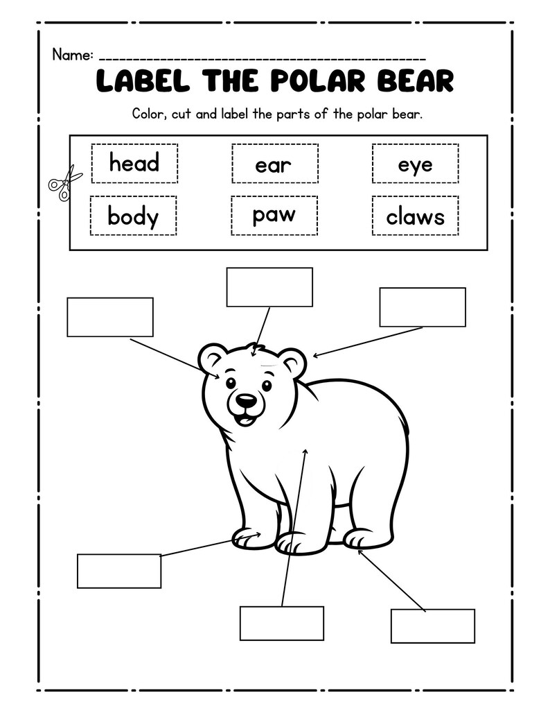 Arctic Animal Activity Worksheets - Letters - Math - Reading - Science ...