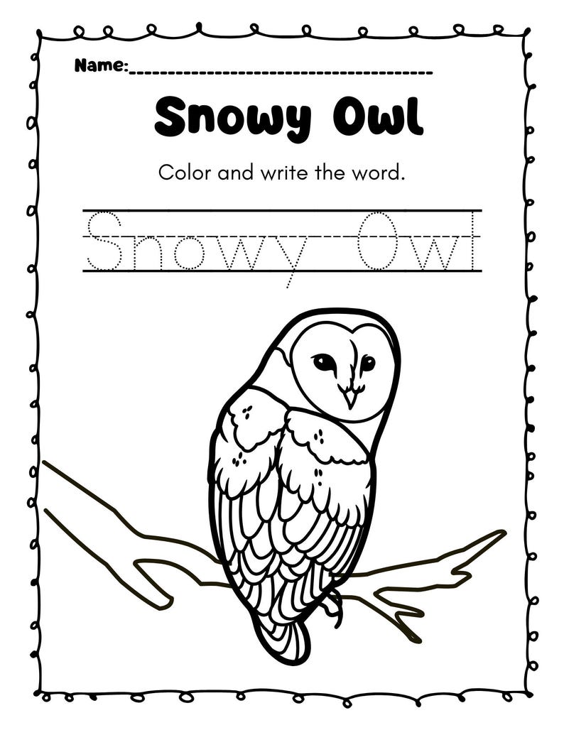 Arctic Animals: Write and Color - Preschool and Kindergarten Winter - Etsy