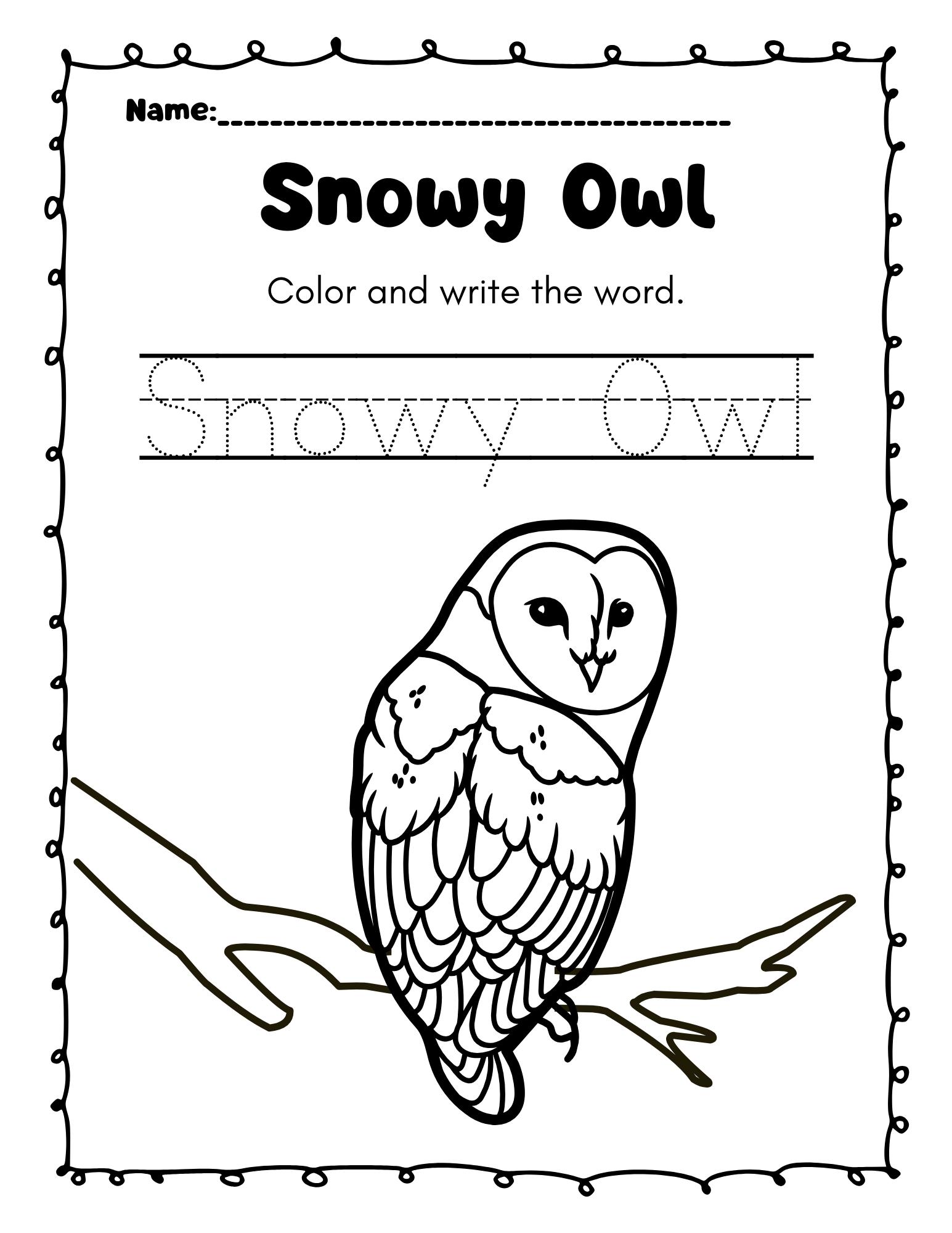 Arctic Animals: Write and Color - Preschool and Kindergarten Winter - Etsy