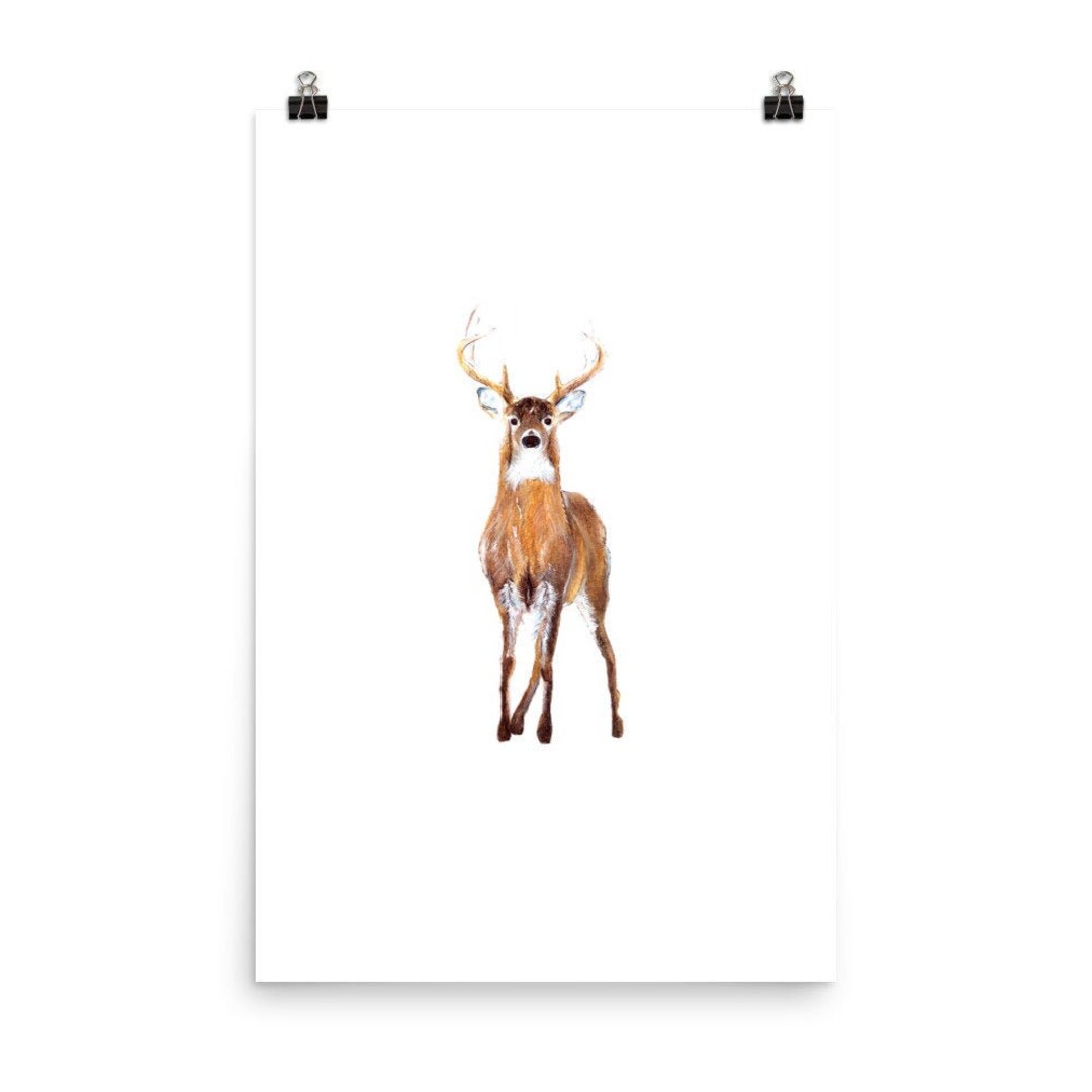 Stampa artistica di cervo maschio dalla coda bianca / poster della ...