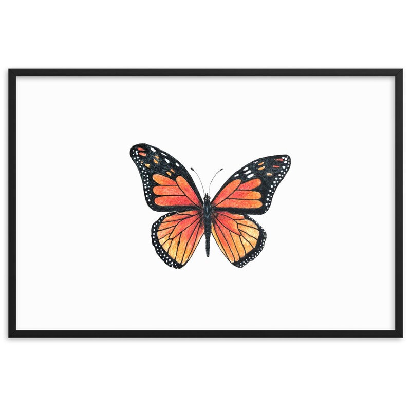 Orange Butterfly - Etsy