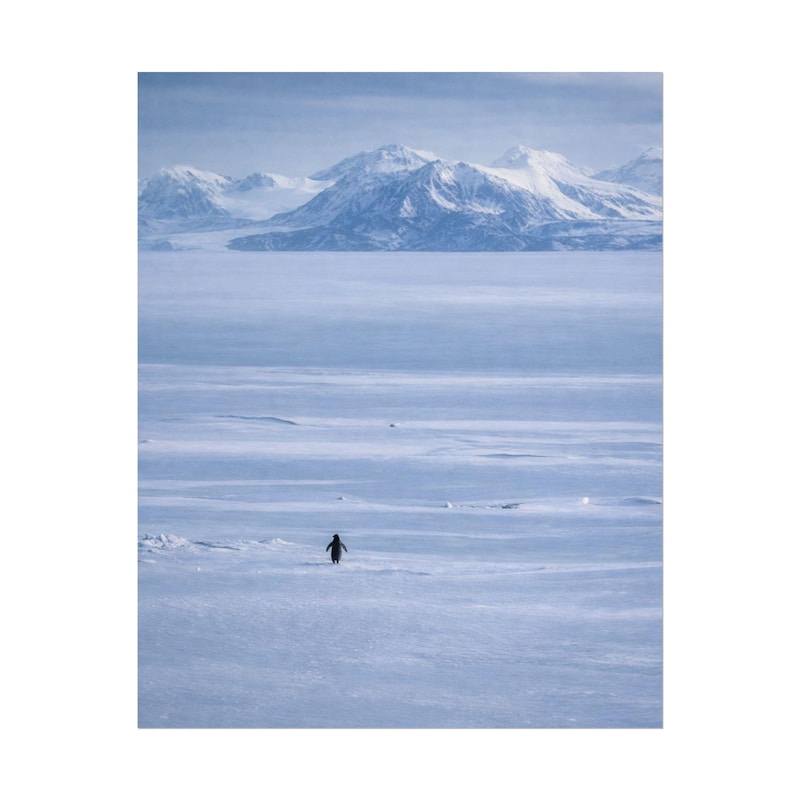 Nihilist Penguin Poster - Etsy