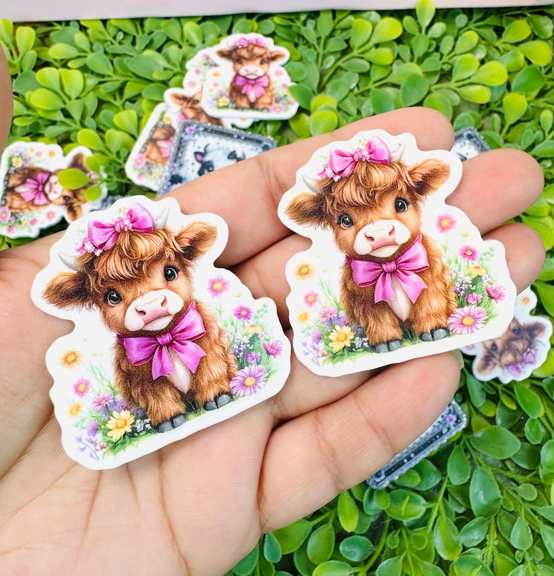 Cute Cow Flatback: Set/2 Highland Cow Acrylic, Animals Flatback, Nature ...