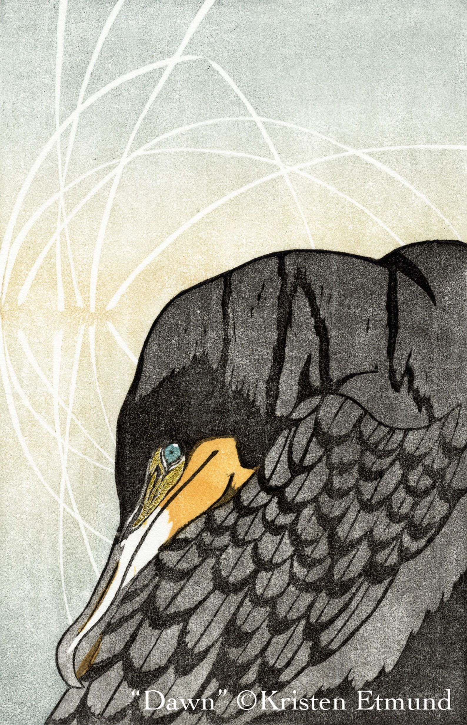 Dawn - Greeting Card - Etsy