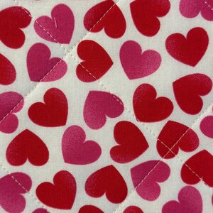 Heart Valentine's Day Dishcloth Gift Set, Scattered Hearts, Pink Red ...