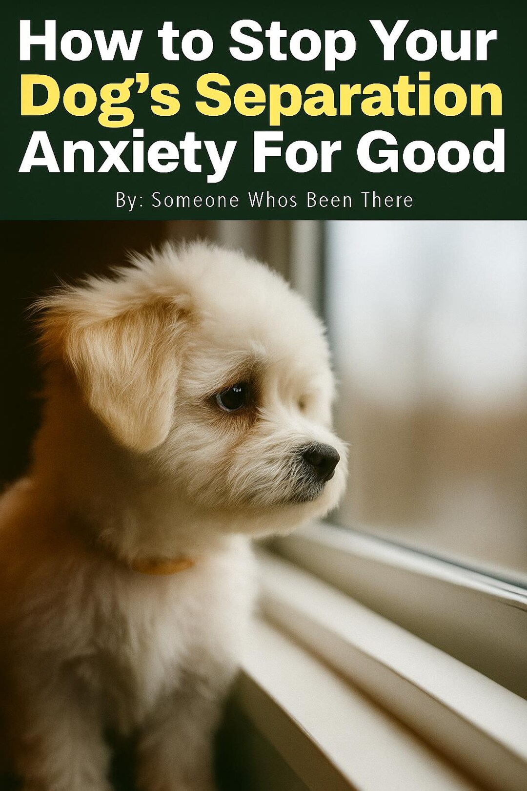 How to Stop Your Dogs Separation Anxiety for Good - Etsy