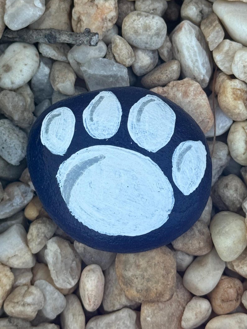 Penn State Painted Rocks. Various Designs. - Etsy