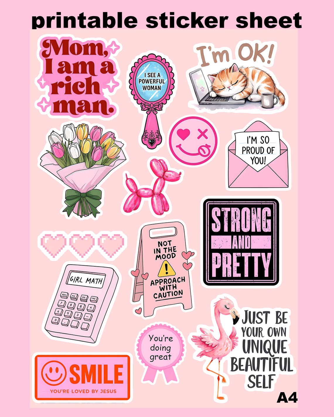 Pink Girl Math Stickers: Motivational Planner Decals (PNG Digital ...