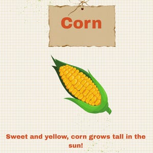 Vegetable Flashcards for Kids | Montessori Learning Cards | Toddler ...