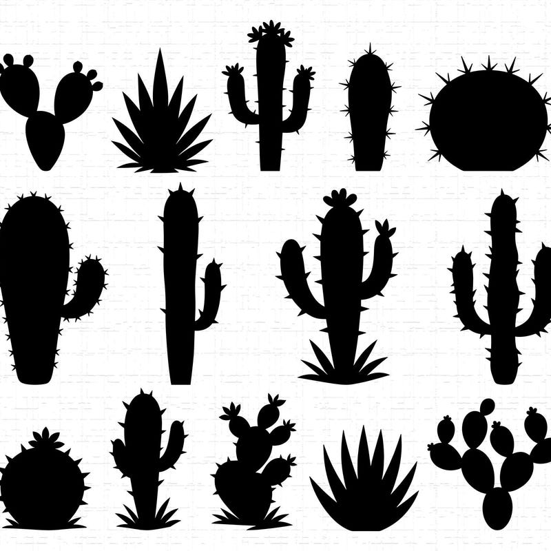 Boho Desert Svg - Etsy