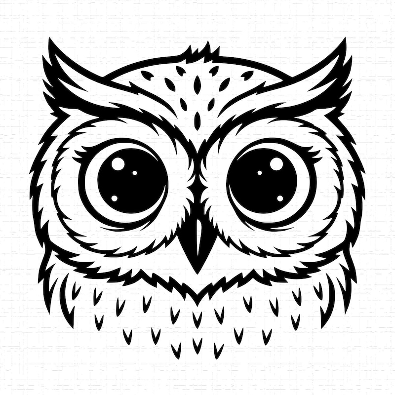 Cute Owl Face Png - Etsy