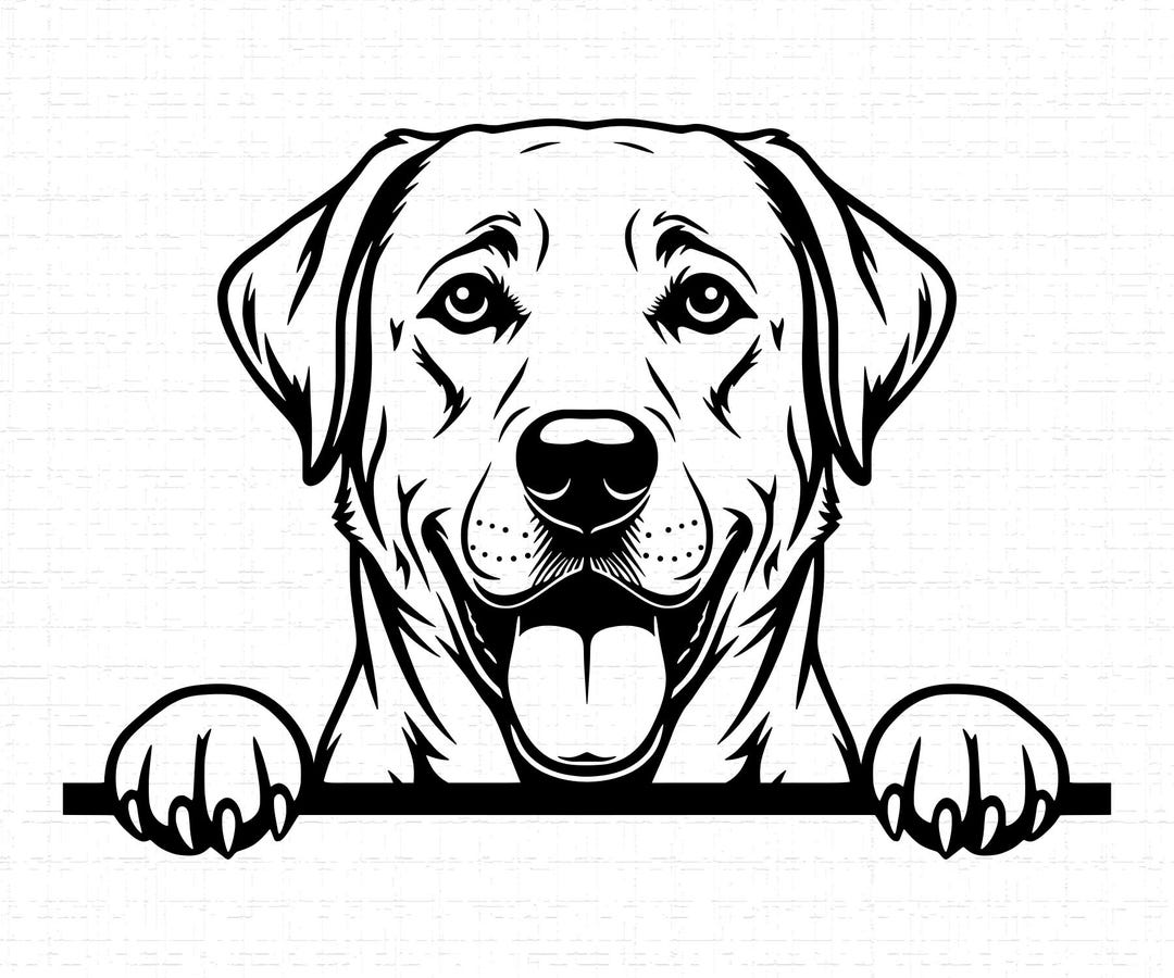 Labrador Retriever Peeking SVG, PNG: Lab Head Vector, Dog Lover, T ...