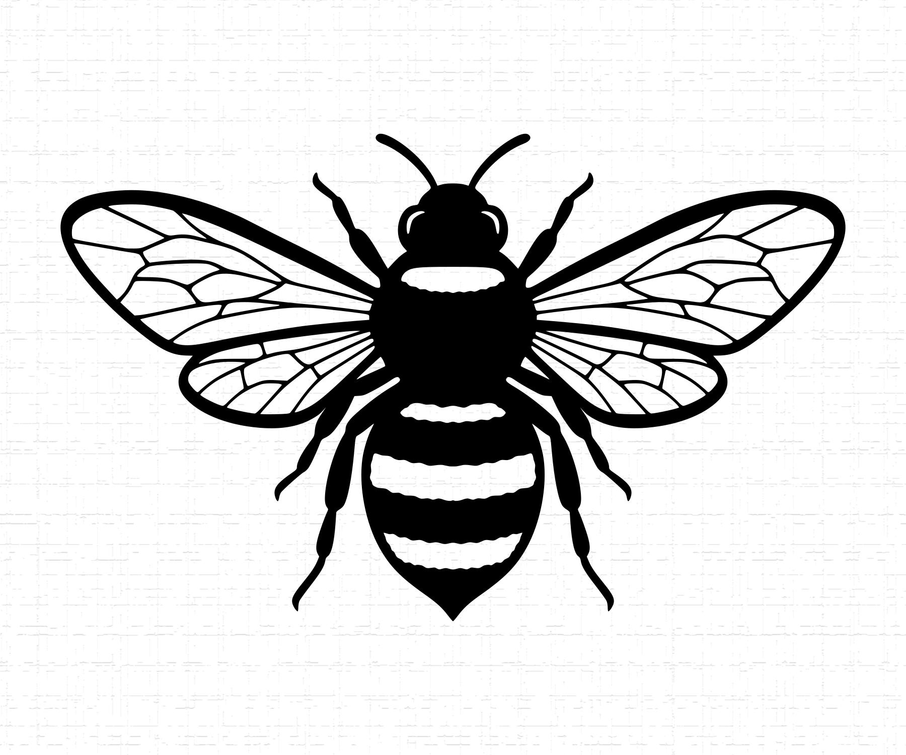 Honey Bee SVG: T-shirt Design, Beekeeper Gift, Save the Bees, Bumblebee ...