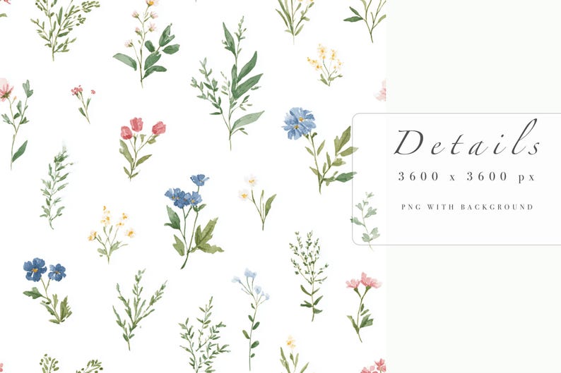 Watercolor Wildflower Seamless Pattern PNG, Fast Download, Commercial ...