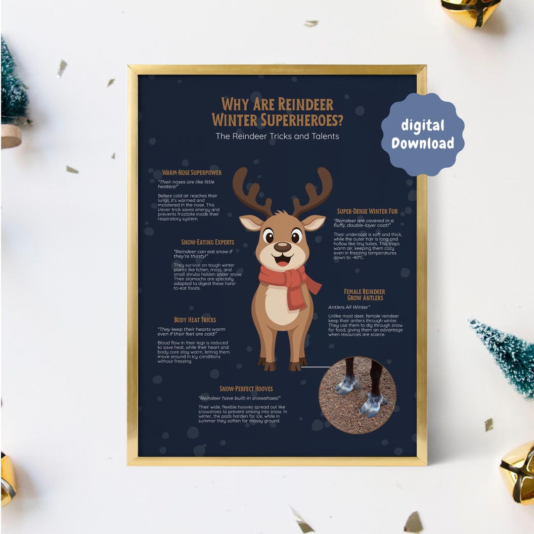 Kids' Christmas Nature Science Poster: Reindeer Adaptations for Winter ...
