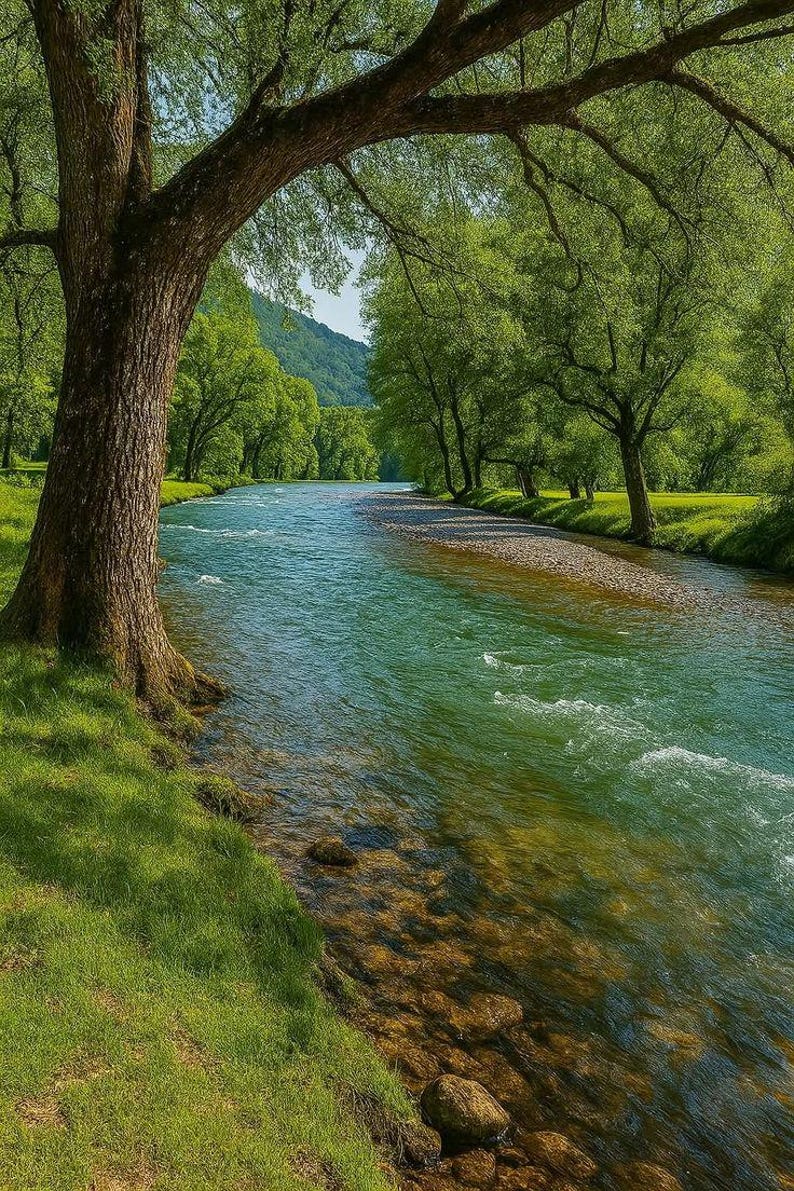 Serene Riverside Landscape Wall Art – Peaceful Nature Photography Print ...