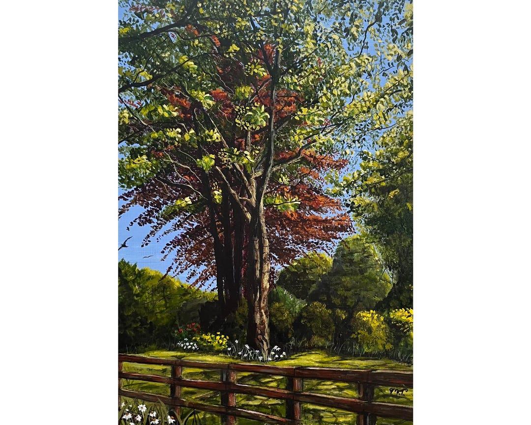 Woodland Tree Art Print Signed A4 Fine Art Paper Etsy