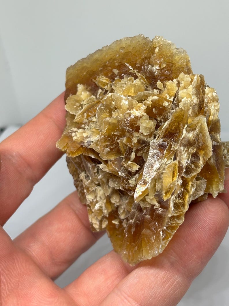 Rosa del desierto de selenita dorada rara de 124 g - Manisa, Turquía ...