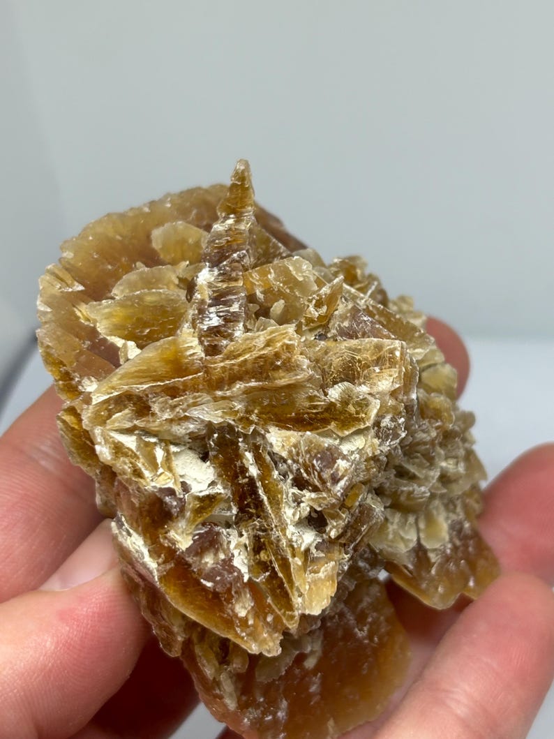 Rosa del desierto de selenita dorada rara de 124 g - Manisa, Turquía ...