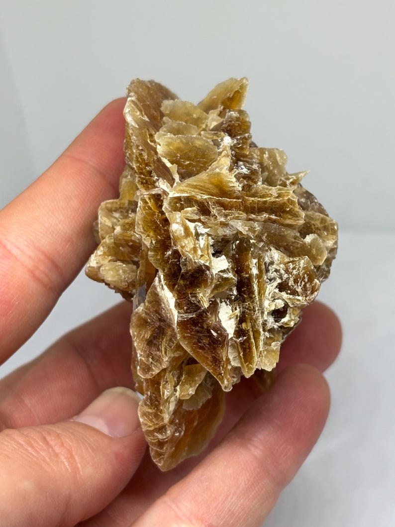 Rosa del desierto de selenita dorada rara de 124 g - Manisa, Turquía ...