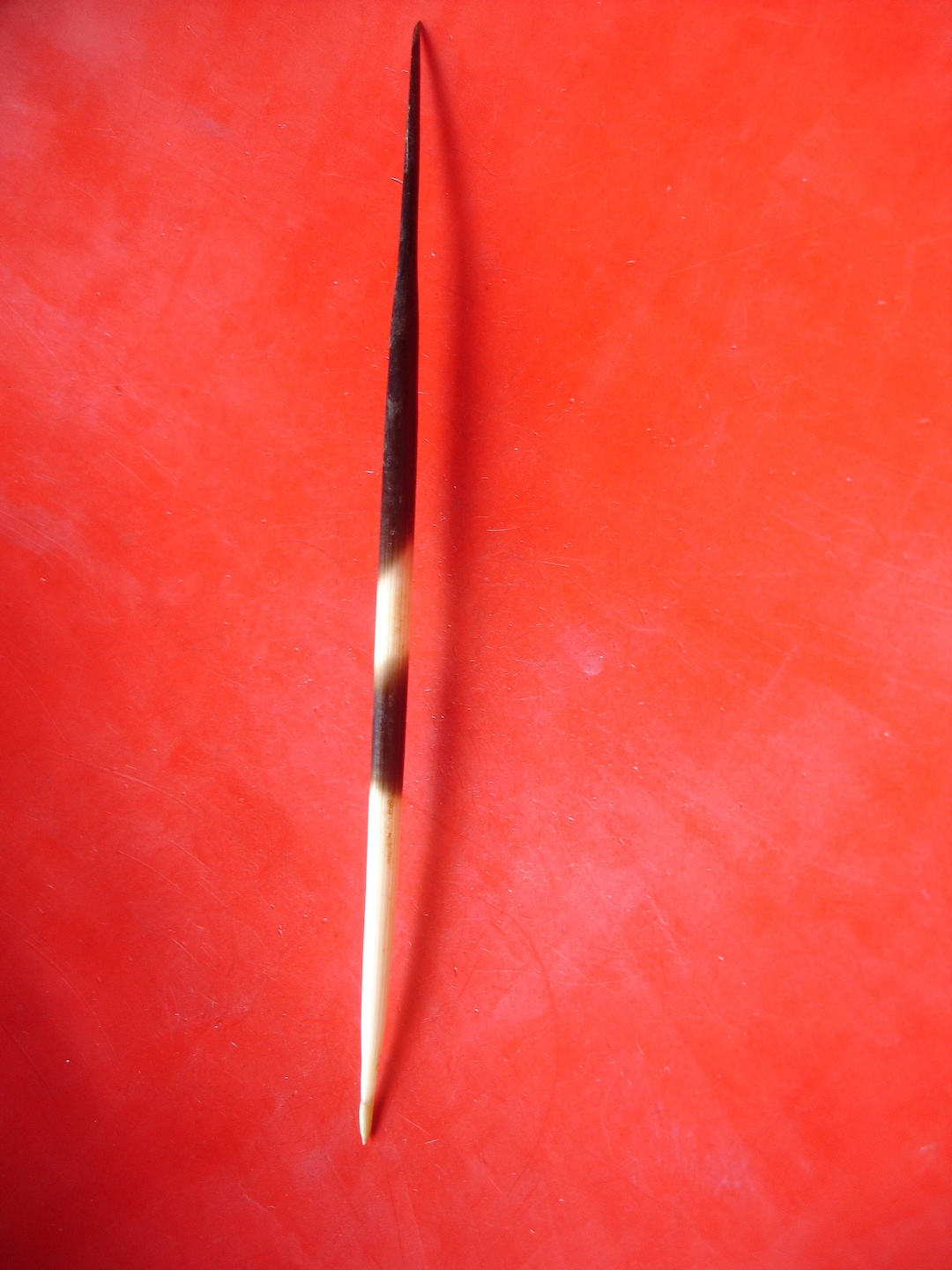 Moroccan Porcupine Spine Quill Hair Pin for Tribal Fusion Dance, Hair ...