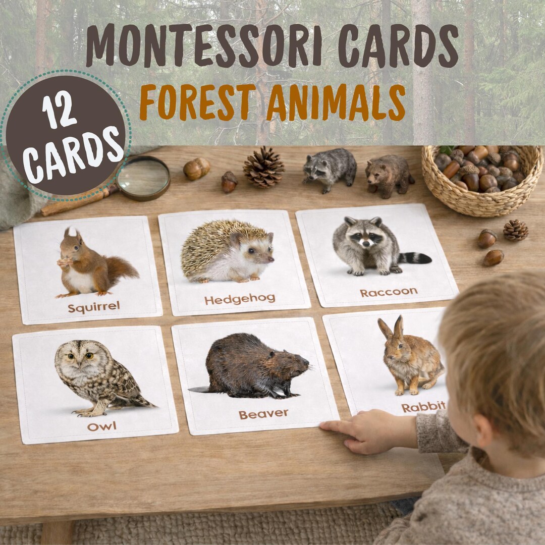Forest Animals Montessori Cards, Printable Flashcards for Toddlers ...