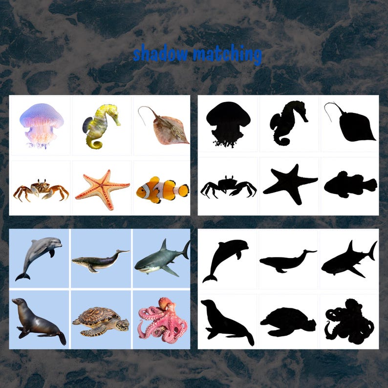 Sea Animals Montessori Cards, Printable Flashcards for Toddlers ...