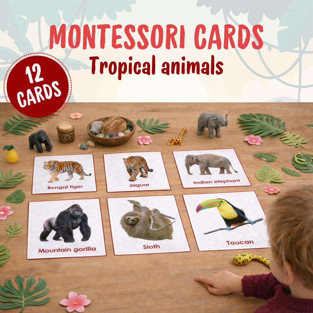 Tropical Animals Montessori Cards, Jungle Flashcards for Toddlers ...