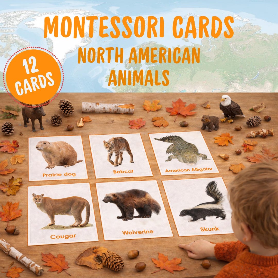North America Animals Montessori Cards, Flashcards for Toddlers ...