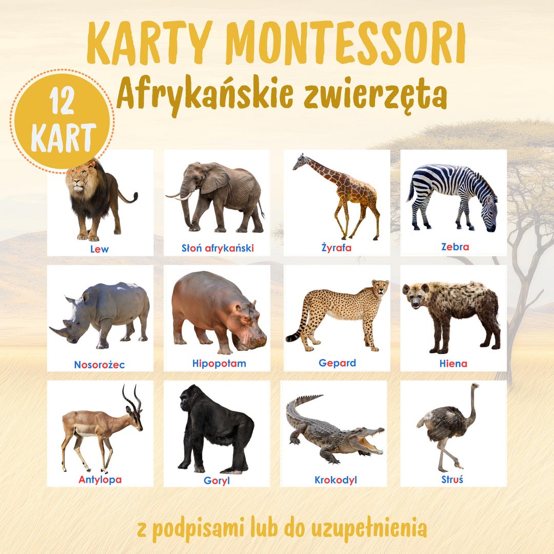 Montessori African Animals Cards, Printable PDF, Educational Worksheets ...