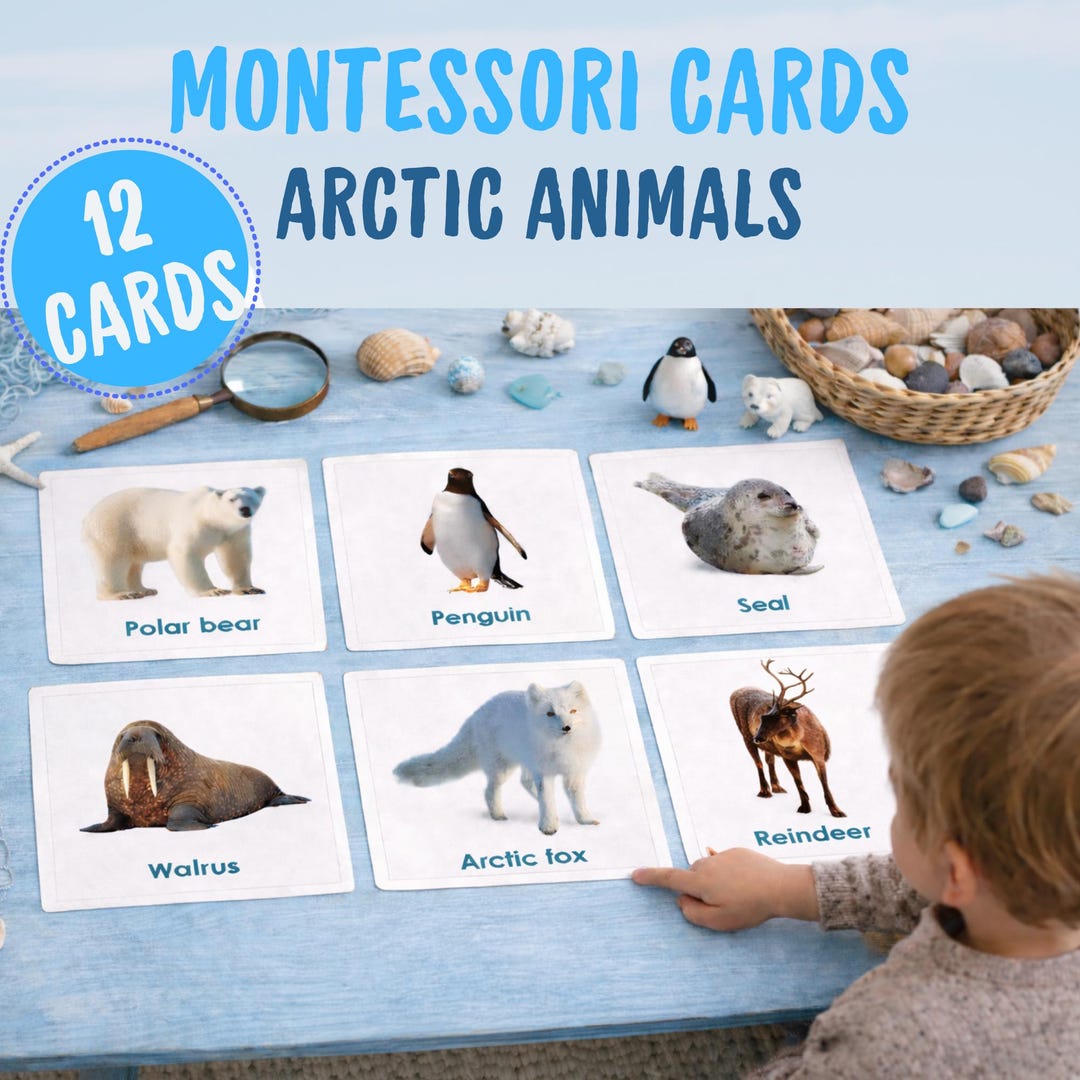 Arctic Animals Montessori Cards, Printable Flashcards for Toddlers ...