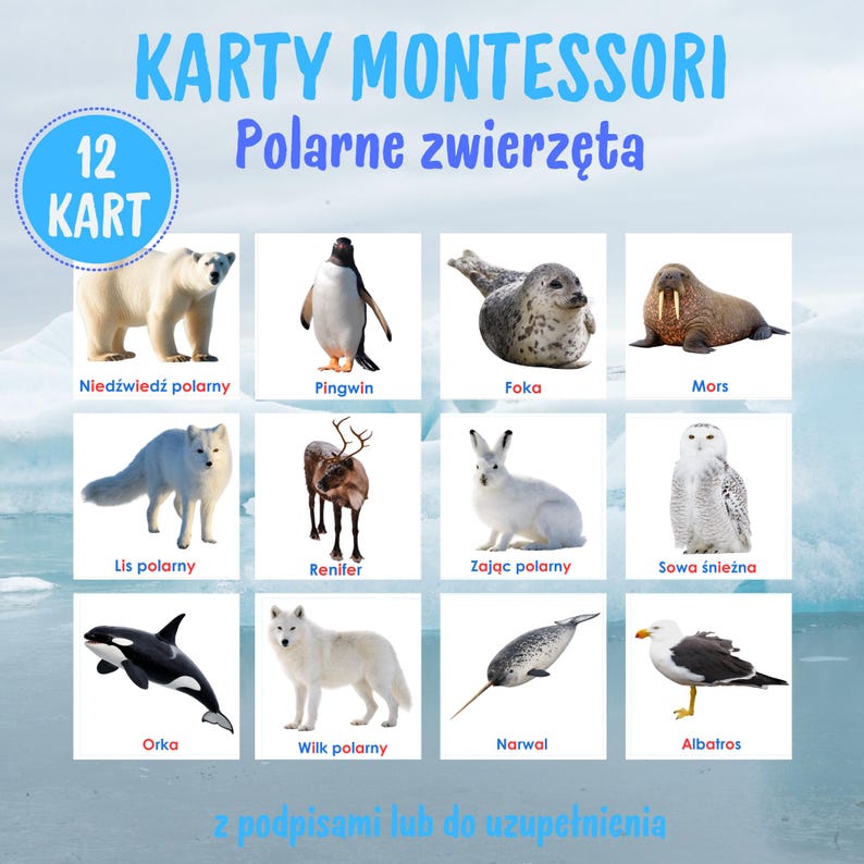 Montessori Polar Animals Cards, Printable PDF, Educational Worksheets ...