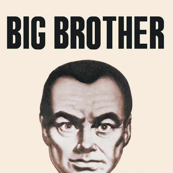 1984 Big Brother Poster - Etsy