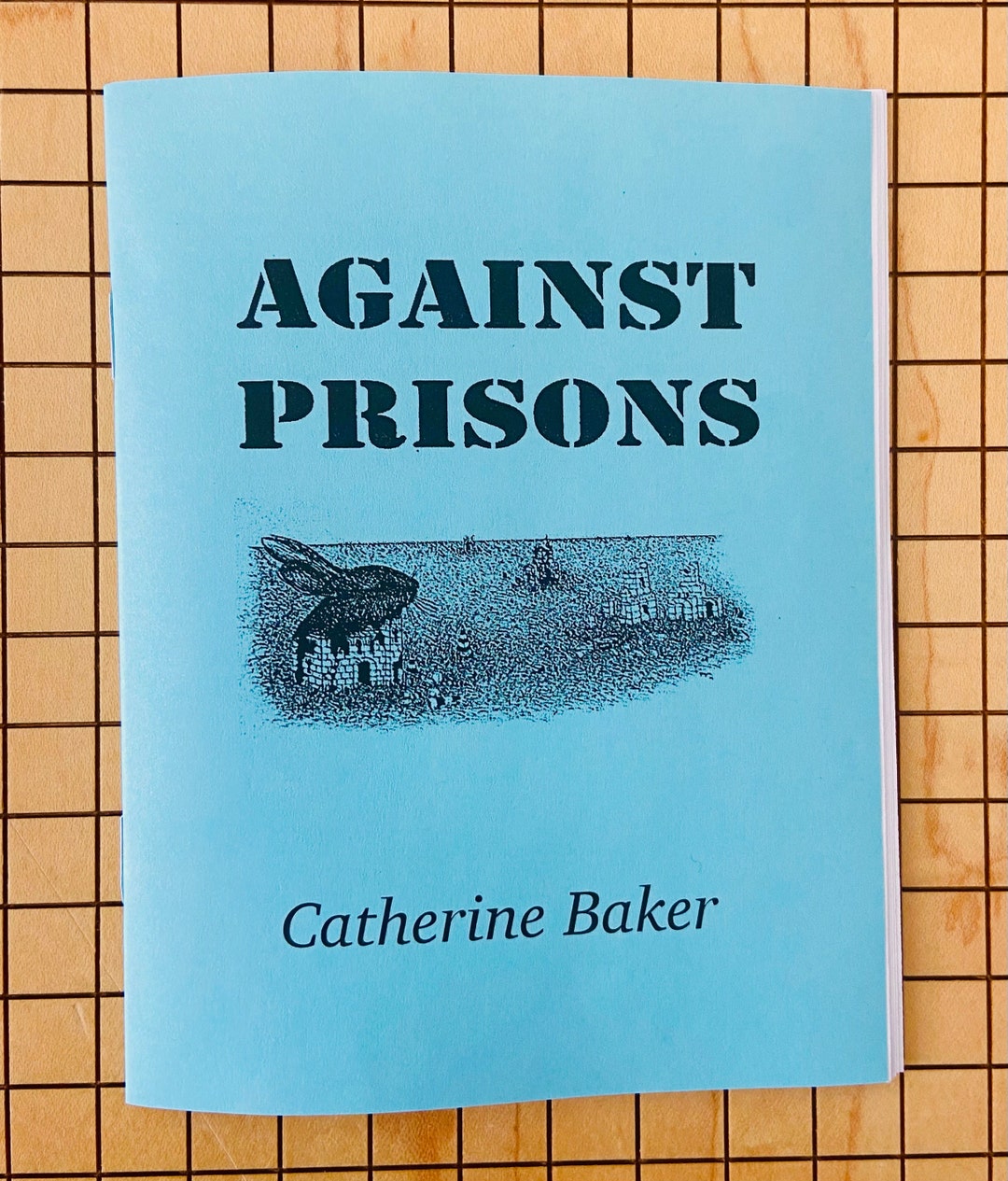 Against Prisons Zine Brand New Abolition Incarceration Jail Cell - Etsy