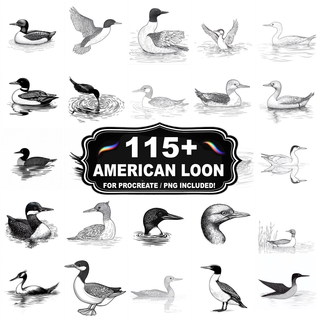 108+ American Loon Bird Design Stamps, Water Bird Illustration Set ...