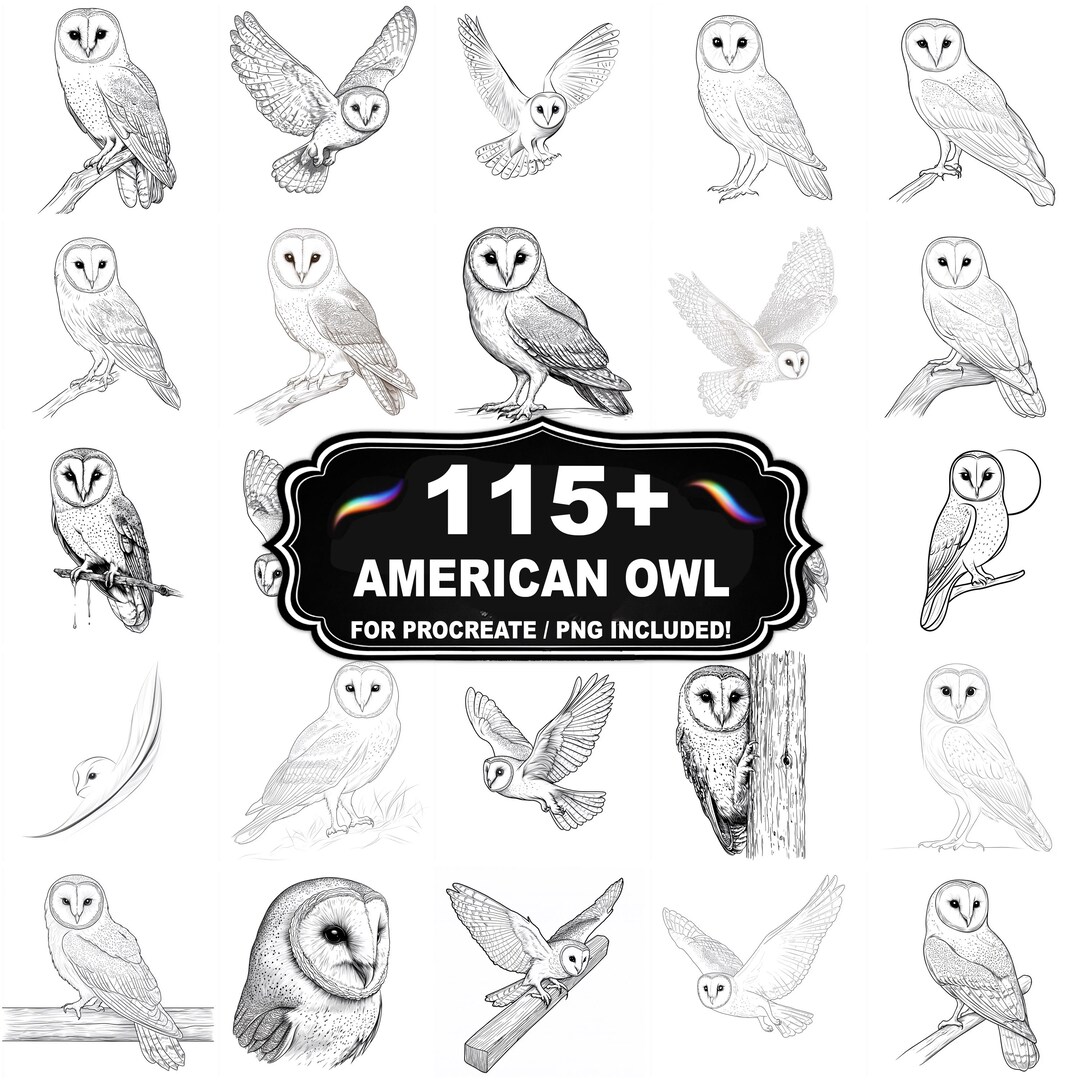 115+ American Owl Stamps for Procreate, Nocturnal Bird Brush Set ...